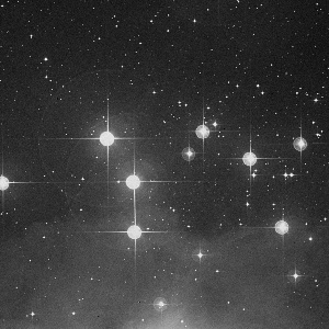 Recherche d'un objet : NGC 1981